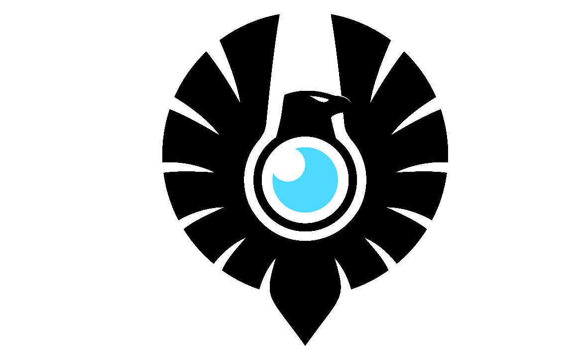 Pricing – Byrd’s Eye View LLC